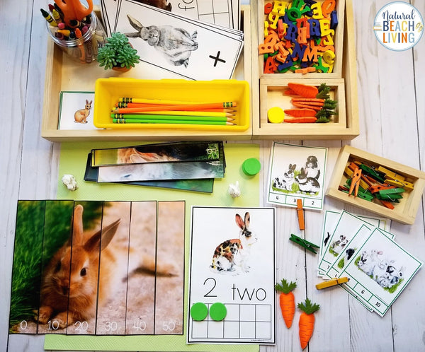 Montessori Inspired Bunny Rabbit Themed Lesson Plans – shop natural ...