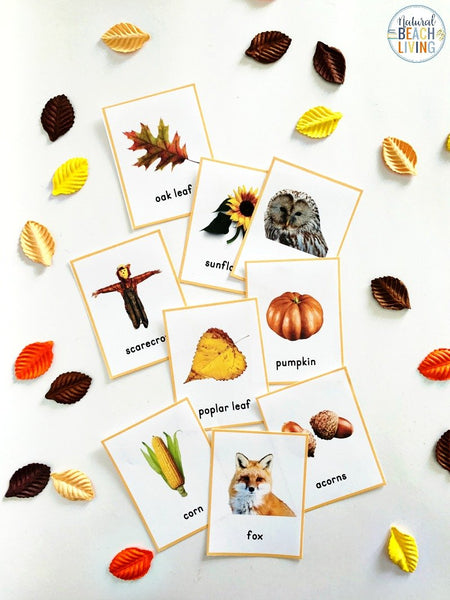 Fall Montessori Activities Pack – shop natural beach living