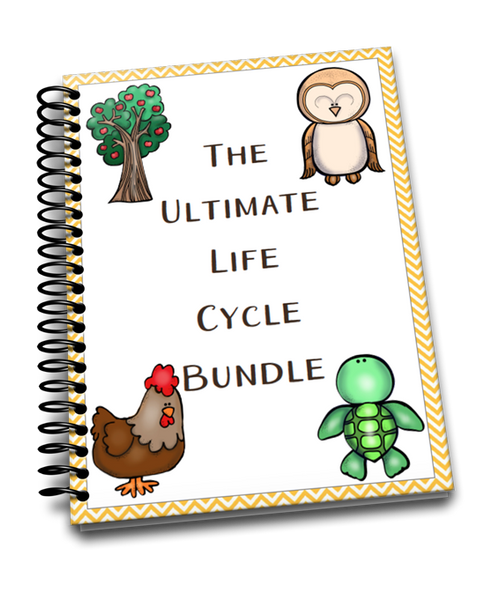 The Ultimate Life Cycle Bundle – shop natural beach living
