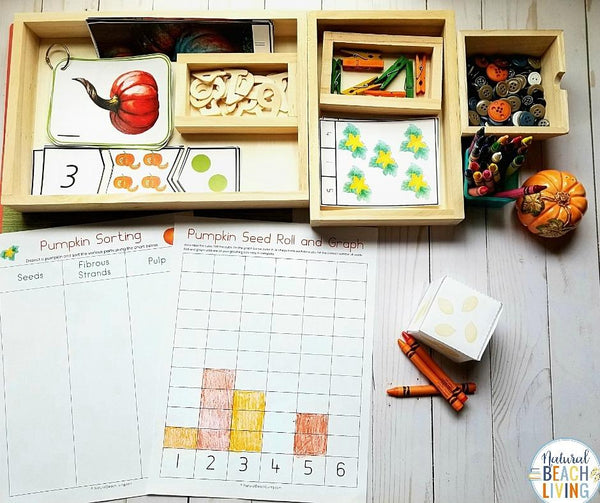 Montessori Pumpkin Unit Study – shop natural beach living