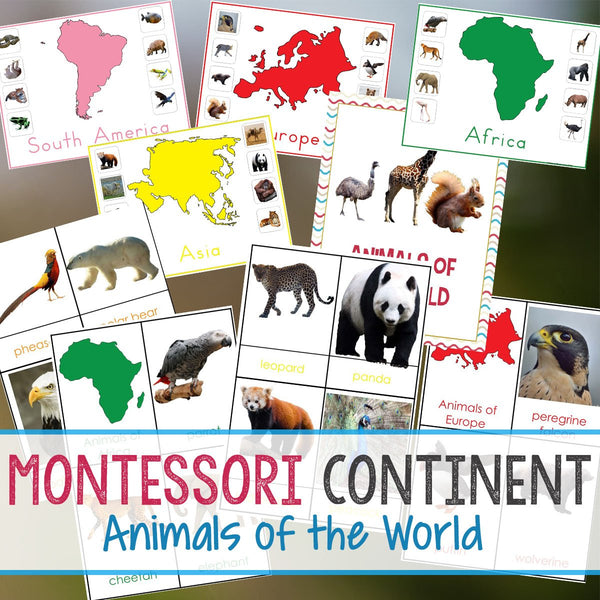 Montessori Animals and Continents – shop natural beach living