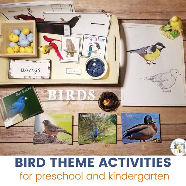 All About Birds Hands on Learning Activity Pack – shop natural beach living