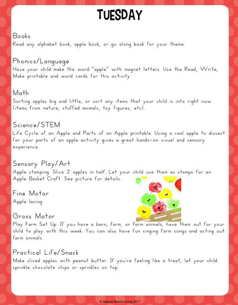 Apple Theme Unit - Lesson Plans for Preschool and Kindergarten – shop ...