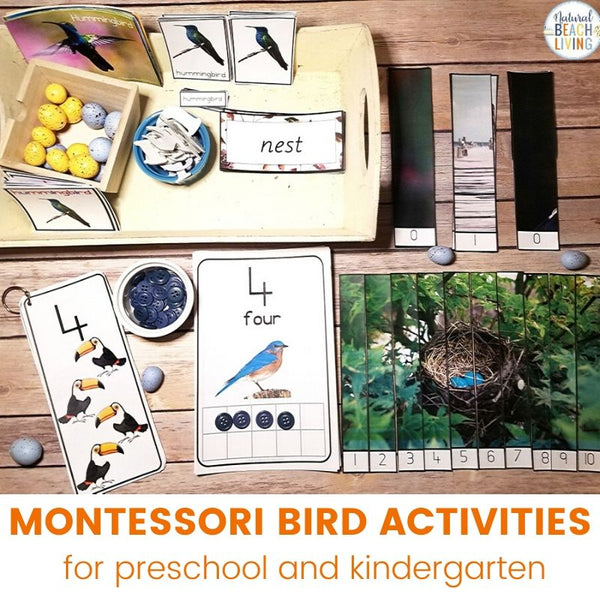All About Birds Hands on Learning Activity Pack – shop natural beach living