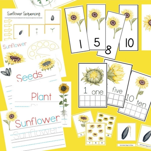 Sunflower Unit Study, Sunflower Life Cycle, Parts of Sunflower, Montes ...