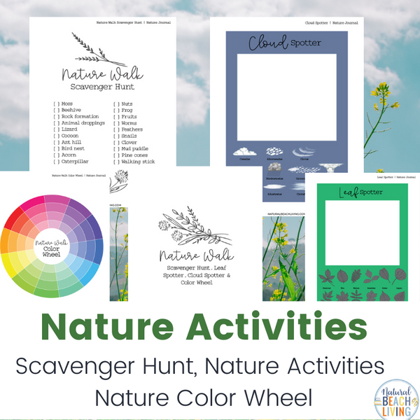 Nature Activities, Scavenger Hunt, Leaf Identifier, Types of Clouds ...