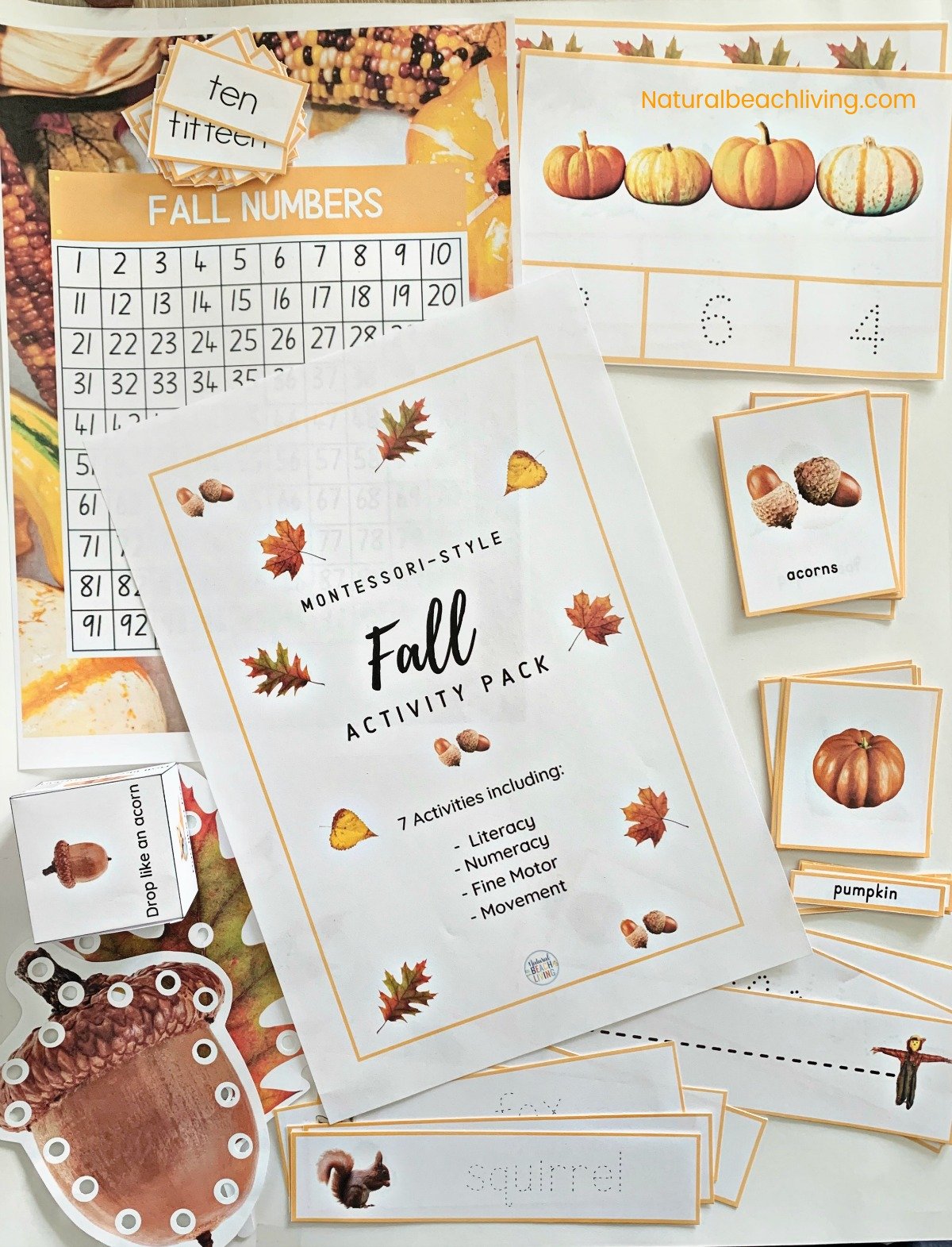 Fall Montessori Activities Pack – shop natural beach living