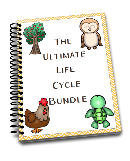 The Ultimate Life Cycle Bundle – shop natural beach living