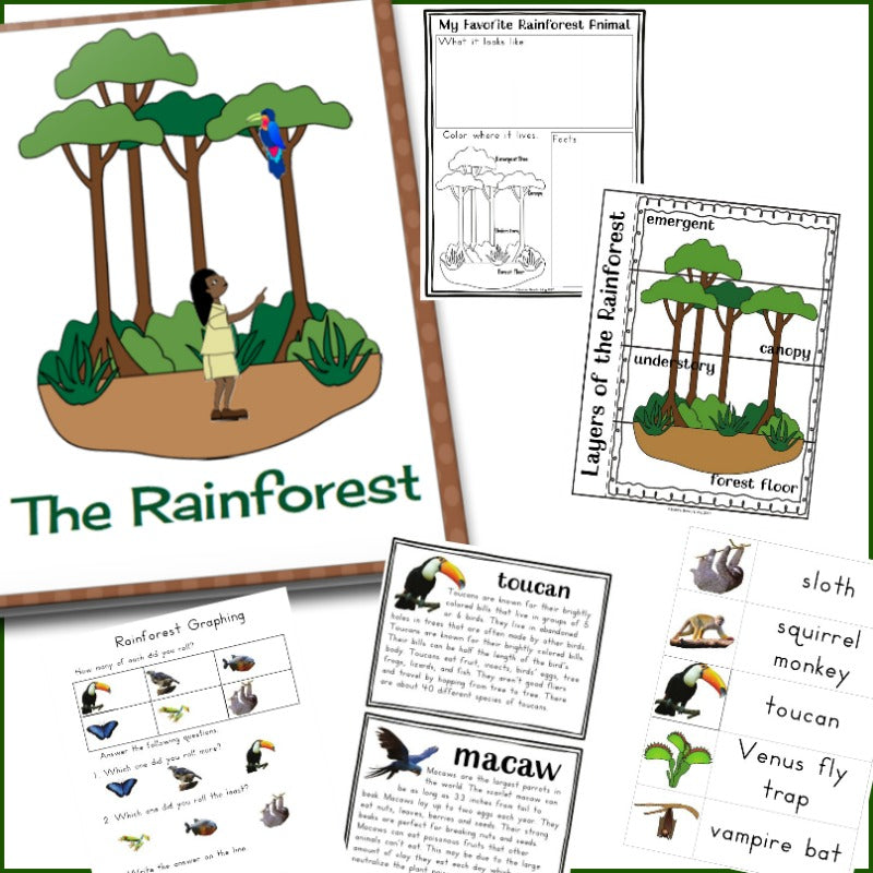 Tropical Rainforest Worksheets